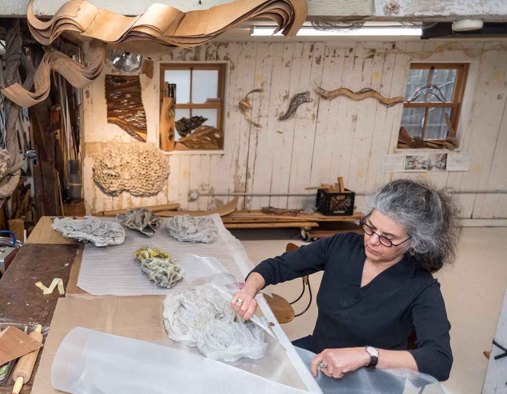 In Studio: Barbara Cooper