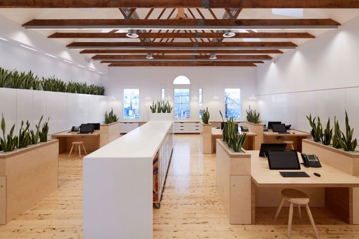 Serenity Now! How To Minimize Distractions In An Open Office